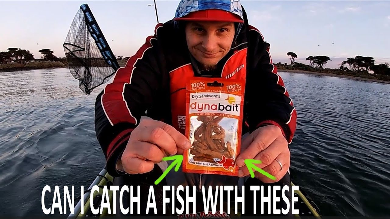 FISHING WITH LONG LIFE SANDWORMS FROM BCF, LAND BASED AND KAYAK - YouTube