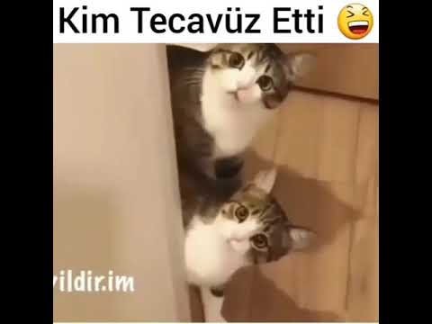 Karadeniz dublaj çok komik