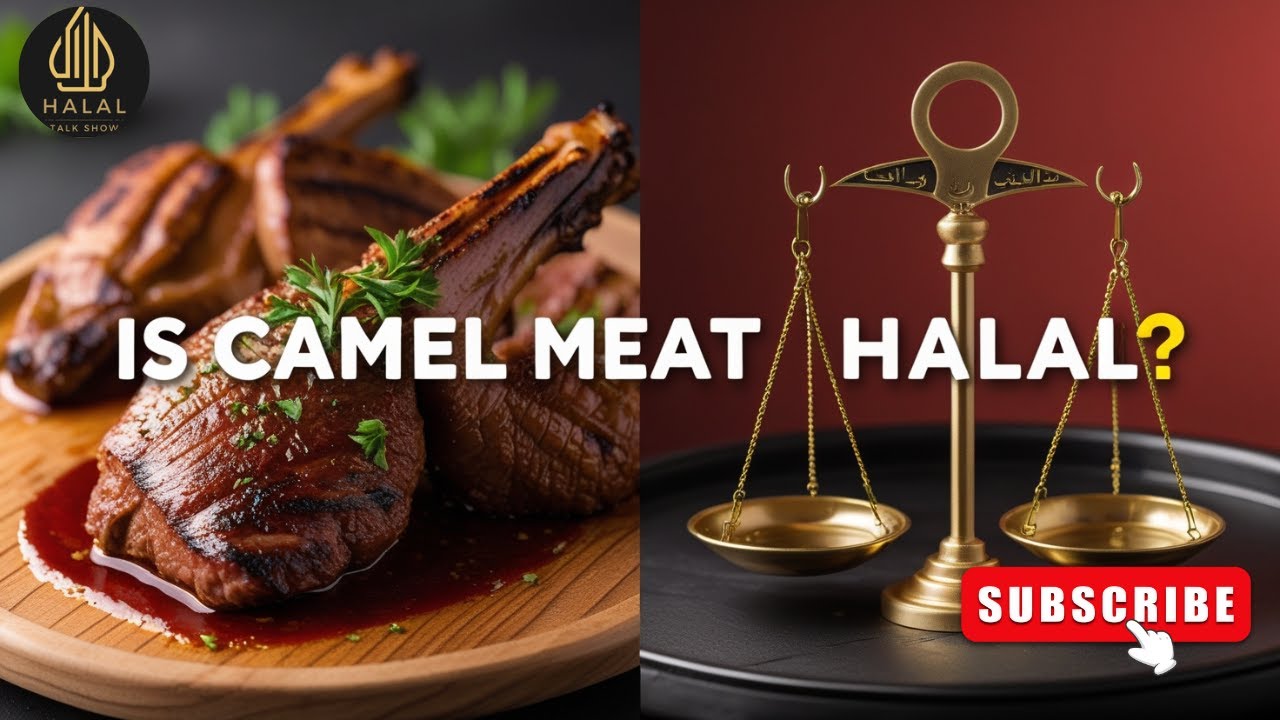 Is Camel Meat Halal? | Halal or Haram in Islam - YouTube