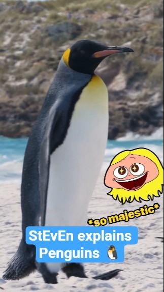 Penguins Poop Every 20 Minutes?! | StEvEn’s Nature Show - YouTube