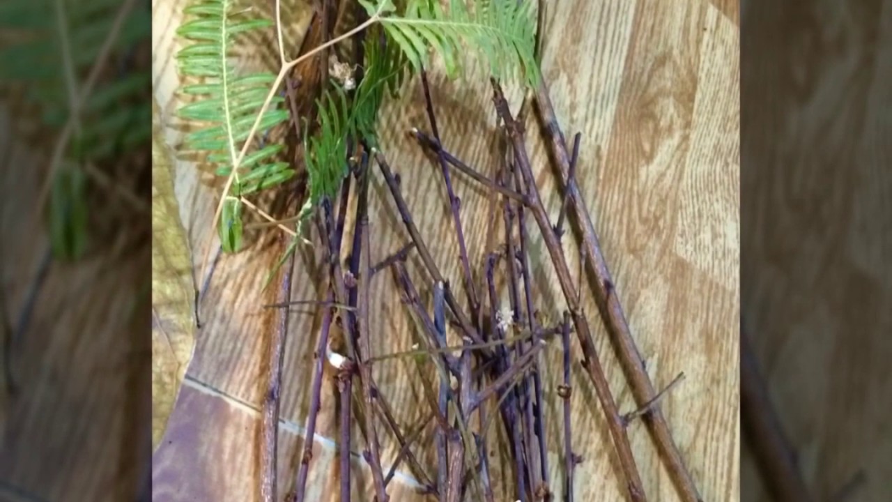 Diorama - Rabbit in the forest - YouTube