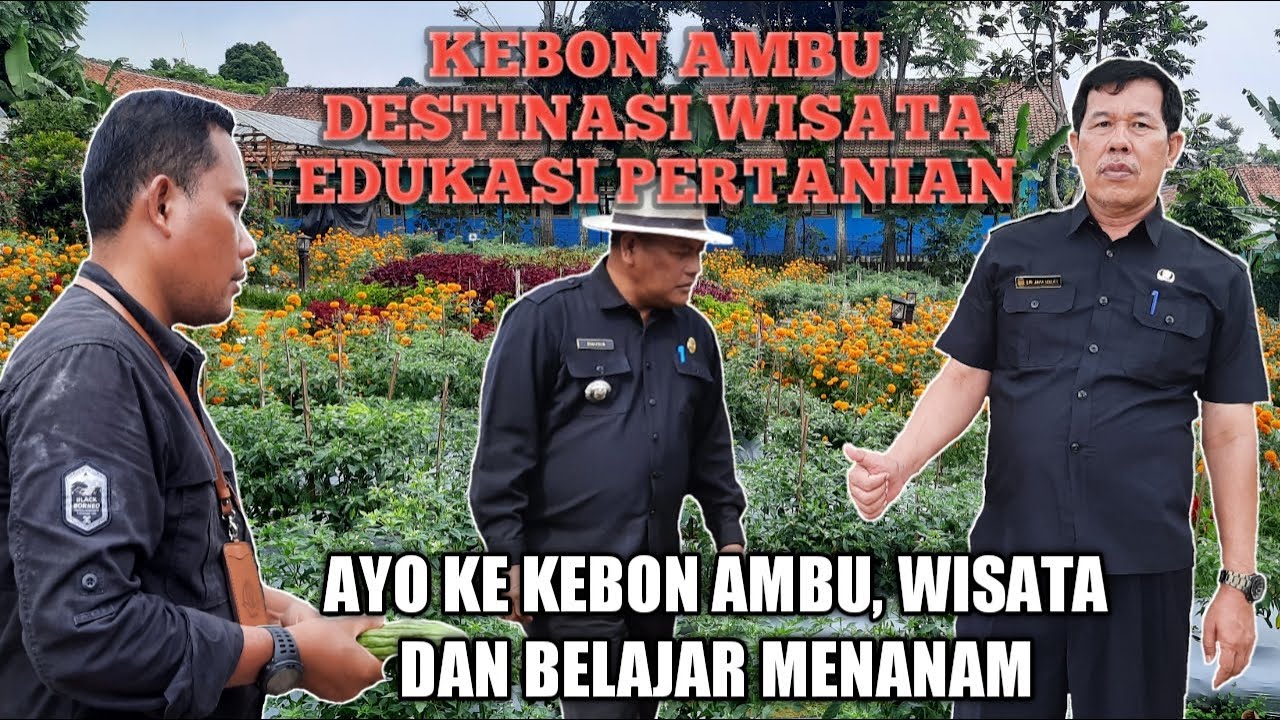 URBAN FARMING KEBON AMBU | WISATA EDUKASI PERTANIAN DI PURWAKARTA | AYO ...