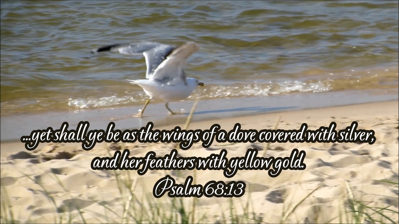 Meditative Moments - Let Faith Arise Angel Blessings - Music Smooth ...