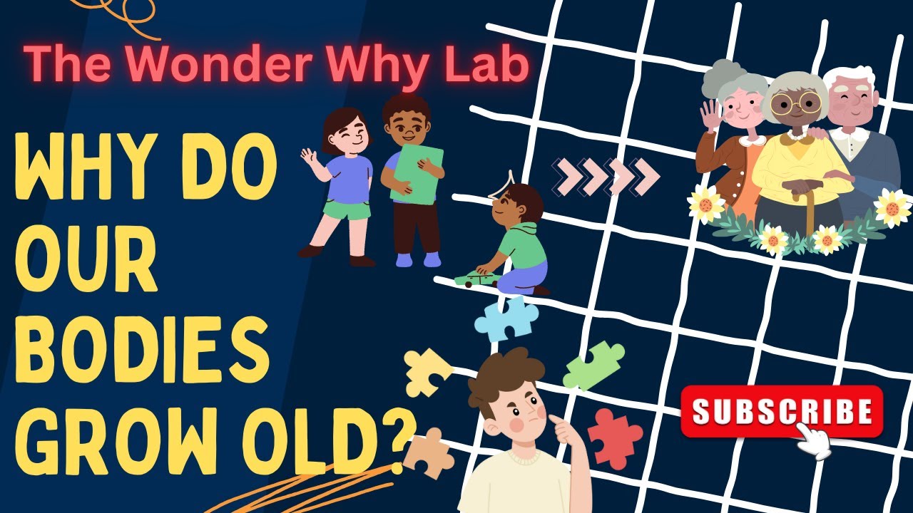 Science for Kids: Why Do Our Bodies Grow Old? | The Wonder Why Lab ...