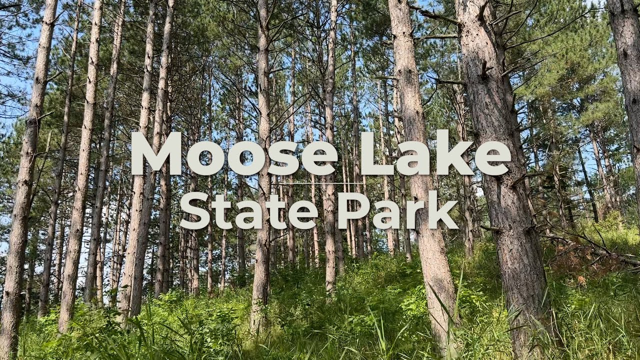 A Quick Late Summer Hike at Moose Lake State Park - YouTube