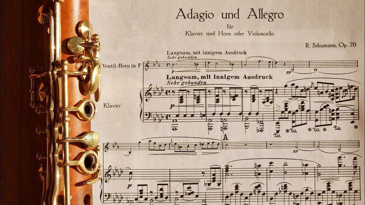 SHTRYKOV-TANAKA DUO I SCHUMANN: Adagio & Allegro Op. 70 (arr. for ...