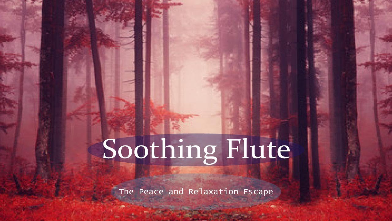 Healing meditation, practice mindfulness and find inner peace, The ...