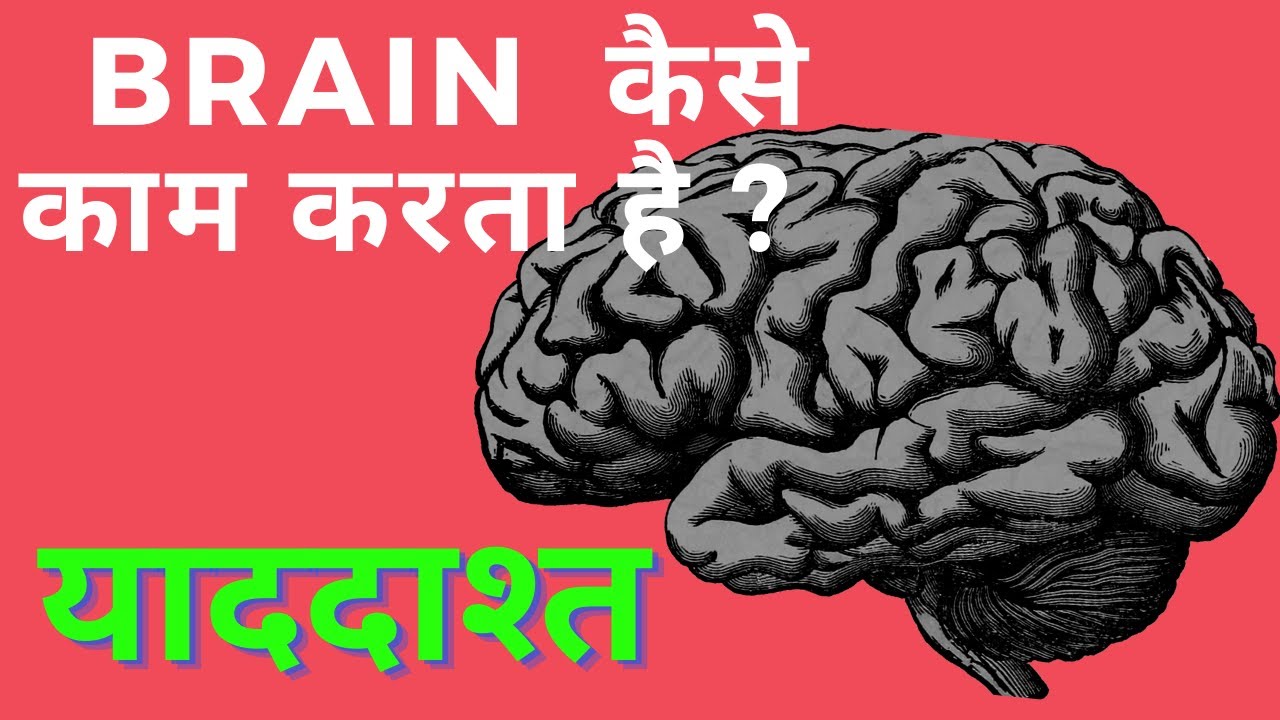 How does our brain works? How and why we remember things ? - YouTube