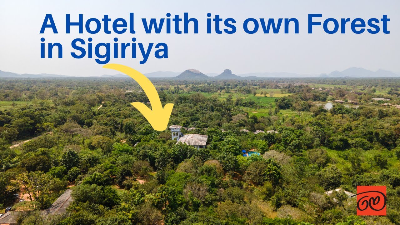 Amaara Forest Hotel Sigiriya - A Hotel in a Forest or a Forest in a ...
