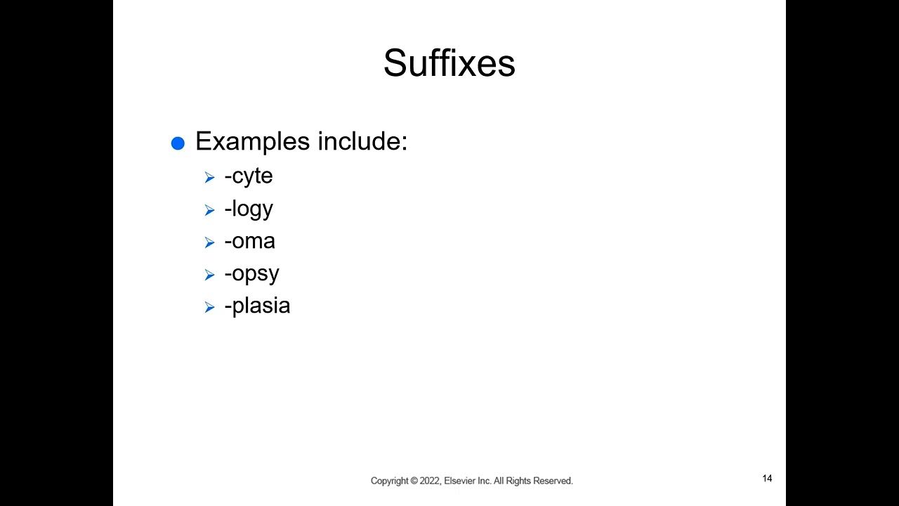 Medical Terminology: Chapter 2 Body Structure, oncology and lab - YouTube