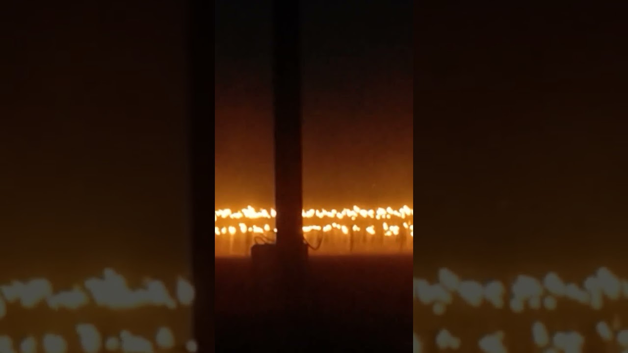 laser lighting show program in banni mantapa Mysore dasara, Karnataka ...
