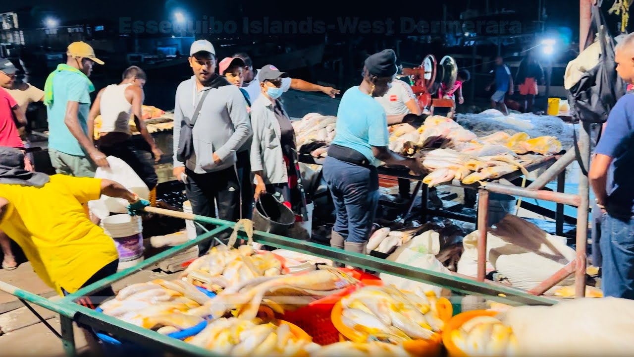 FINALLY GUYANA’S LARGEST FISH MARKET UNDER CONSTRUCTION - YouTube