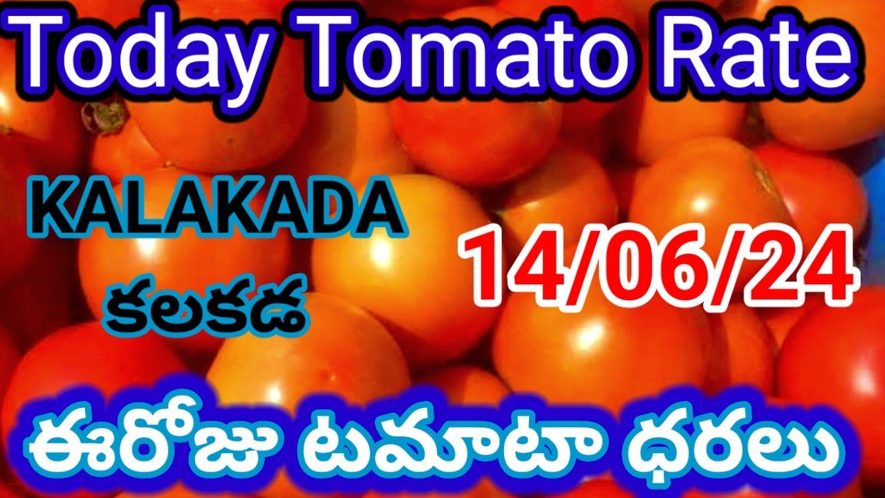 14 June 2024# today Tomato rate in Kalakada # today Tomato price in ...