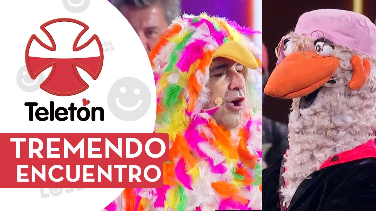 ¡DUELO DE PAJARRACOS!😂 Guru Guru se enfrentó a Tutu Tutu en Teletón ...