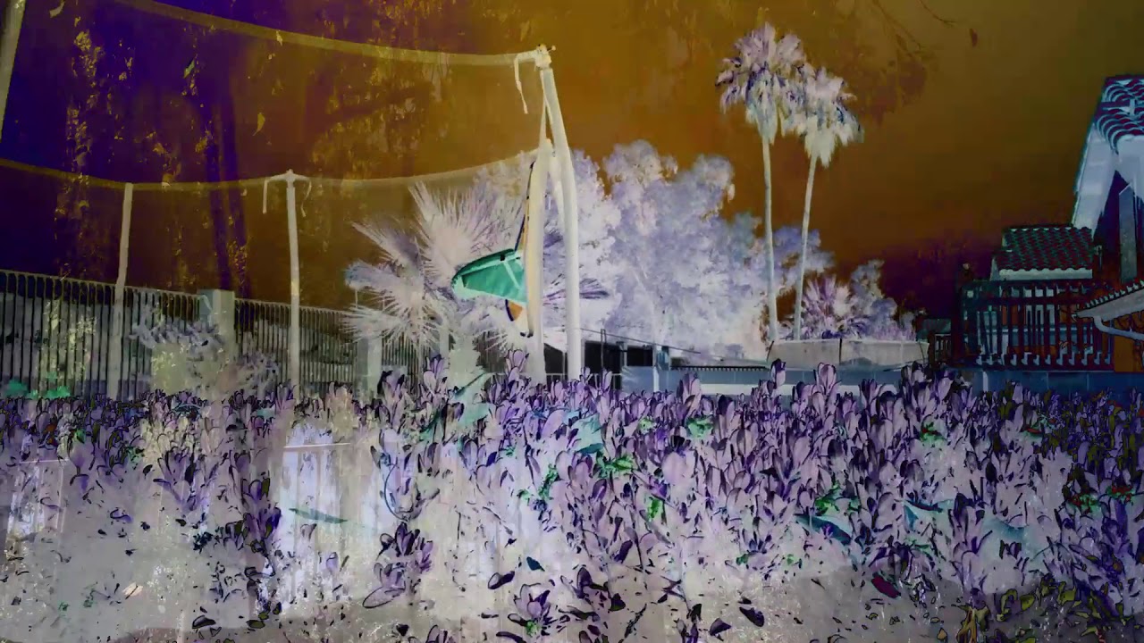 Revisited Remunerations Rapturously Collapse When Recompensed - YouTube