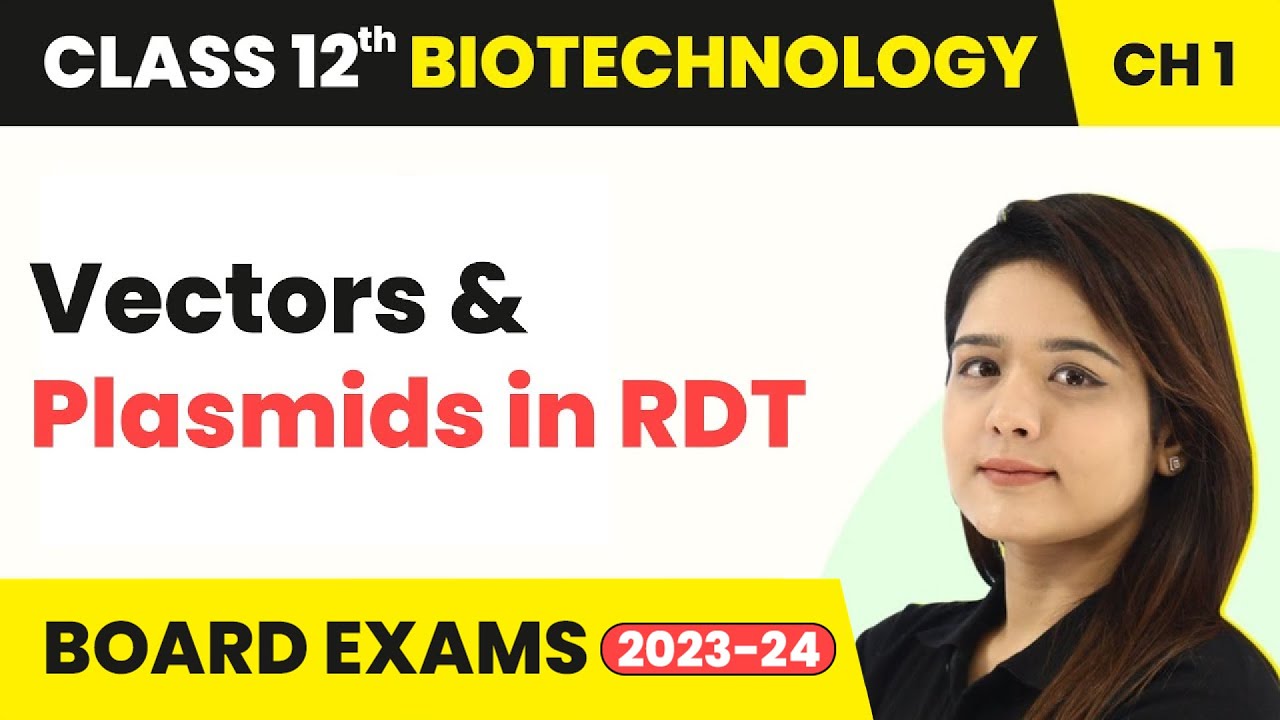 Vectors and Plasmids in RDT - Recombinant DNA Technology | Class 12 ...