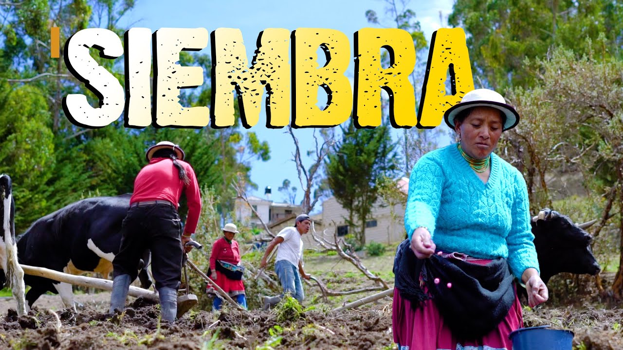 La MINGA en nuestros campos continúan I Doctv Ecuador - YouTube
