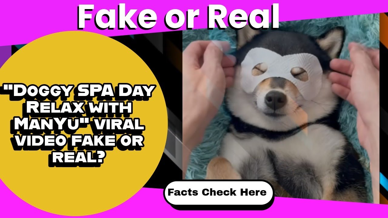 Viral Dog Spa Video is Real: Finally Something Real | "Doggy SPA Day ...