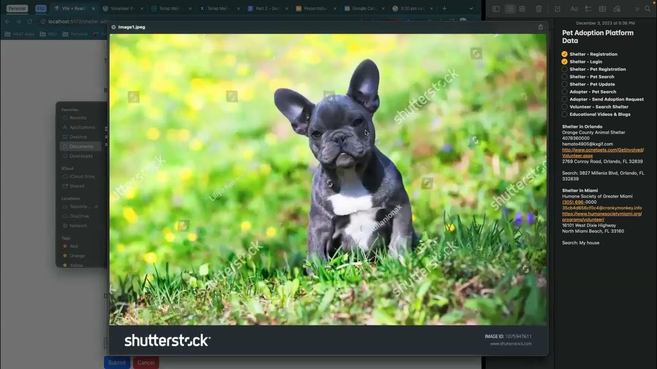 Pet Adoption Platform Presentation - YouTube
