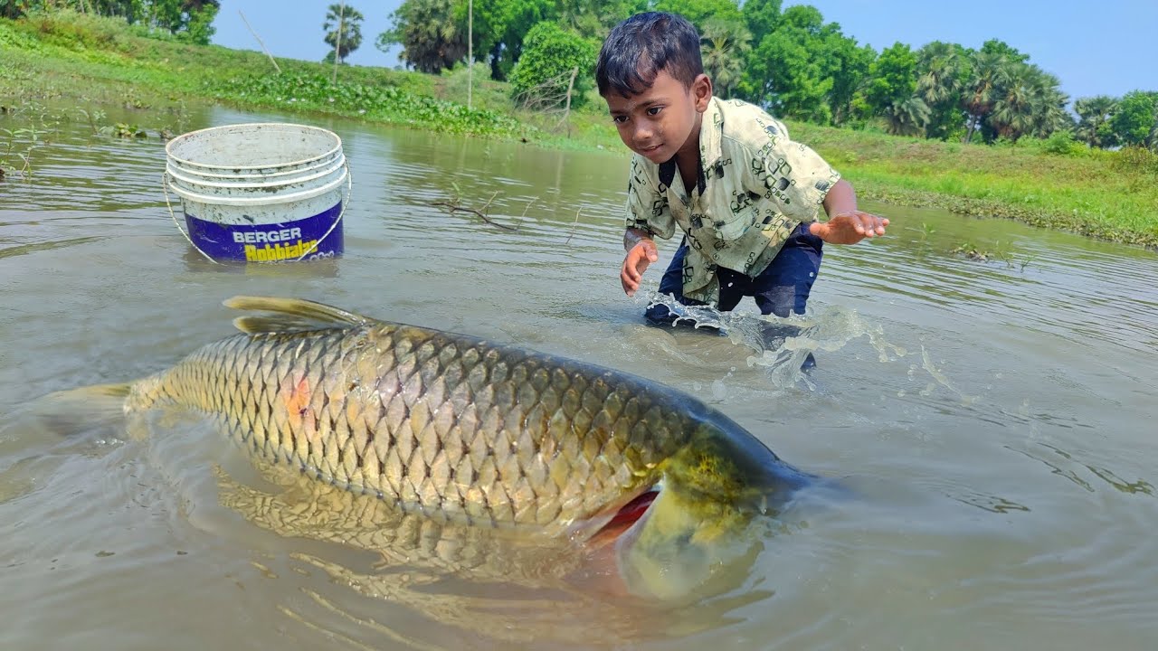 Amazing Fishing By Hand | Traditional Village Boy Fishing With Hand In ...
