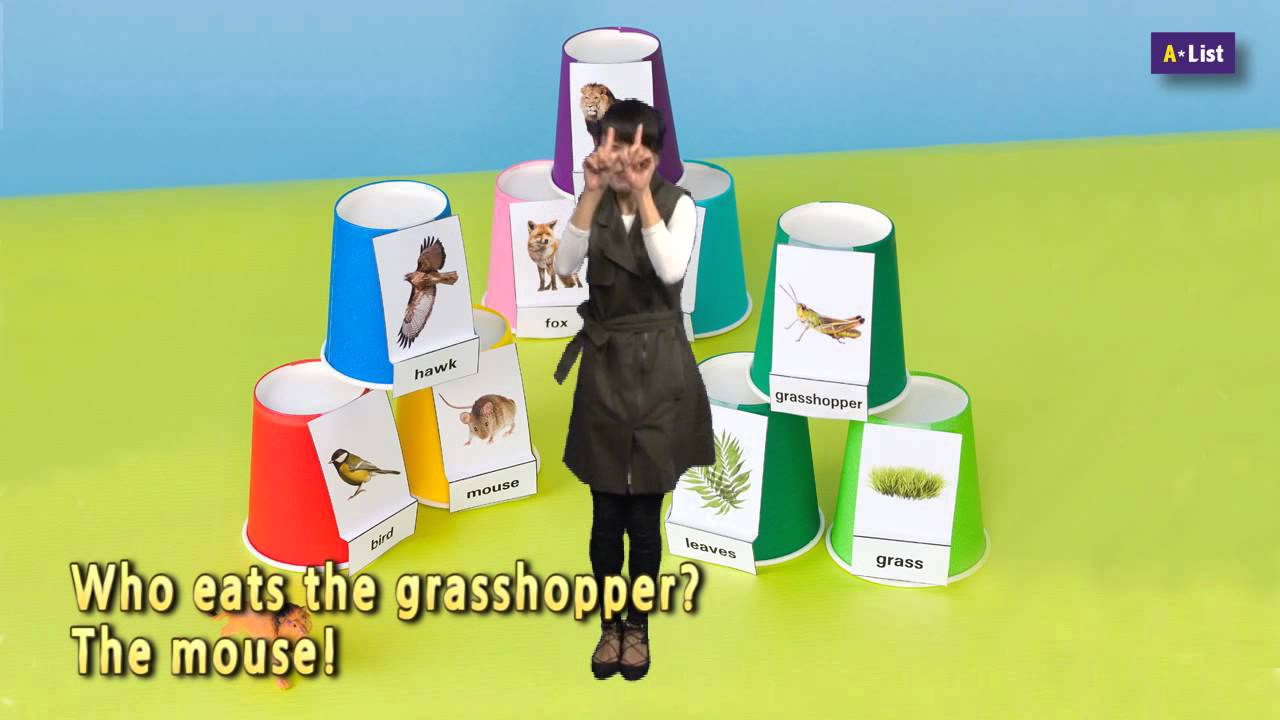 [Ready, Set, Discover!] The Old Lion and the Fox중 The Food Chain Cups ...