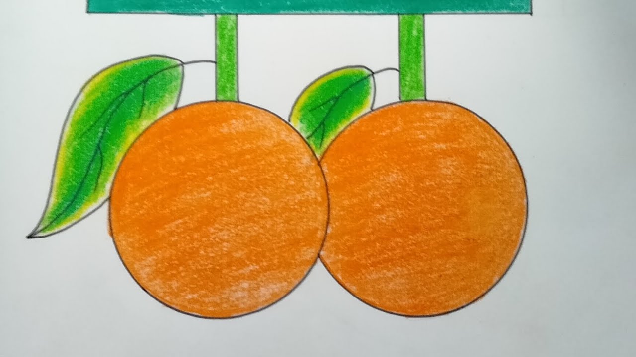 orange drawing/How to draw orange/easy orange drawing। - YouTube