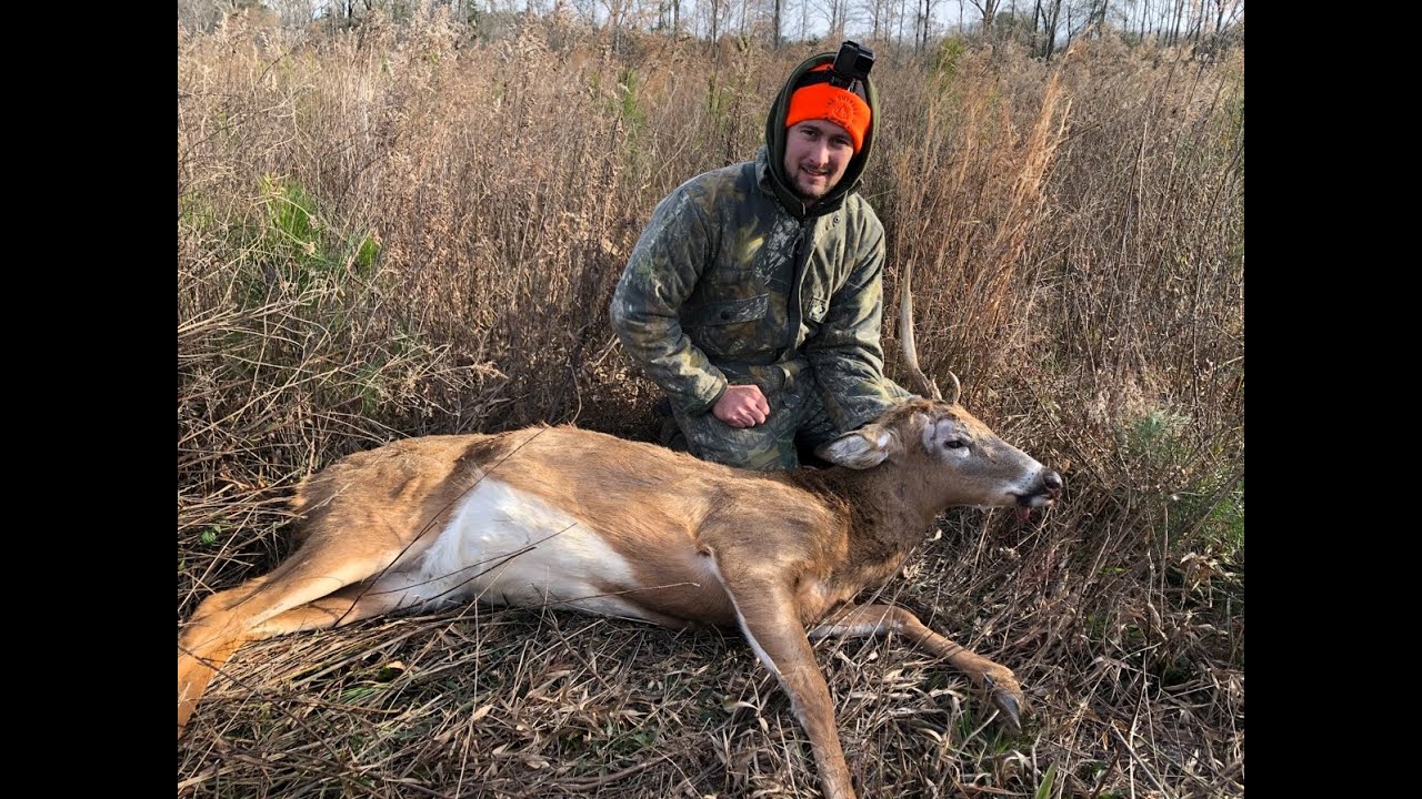 #28 Doe & Cull Buck management 2022 - YouTube