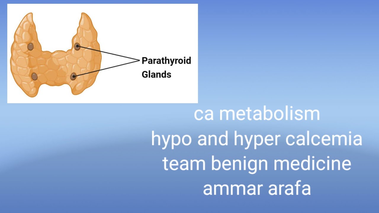 ca metabolism (hypo and hyper calcemia ) - YouTube