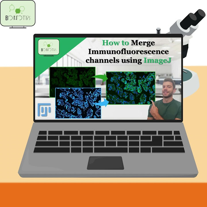 How to merge Immunofluorescence channels using ImageJ #shorts #immunofluorescence #imagej #merge ...