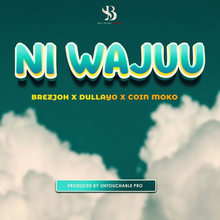 Brezjoh X Dullayo X Coin Moko (SARAFU), (NI WAJUU OFFICIAL AUDIO) - YouTube