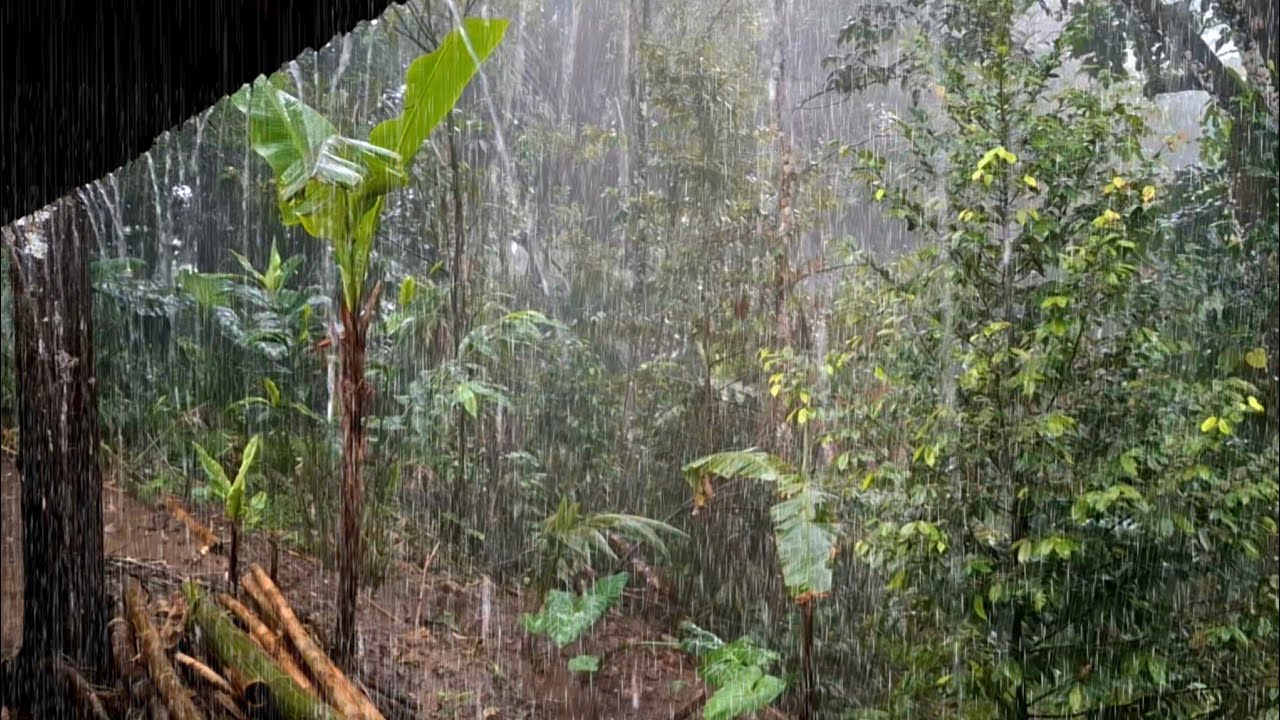 Heavy Rain Alert 🌧 | Most Realistic Rain Sounds for Deep Sleep ...