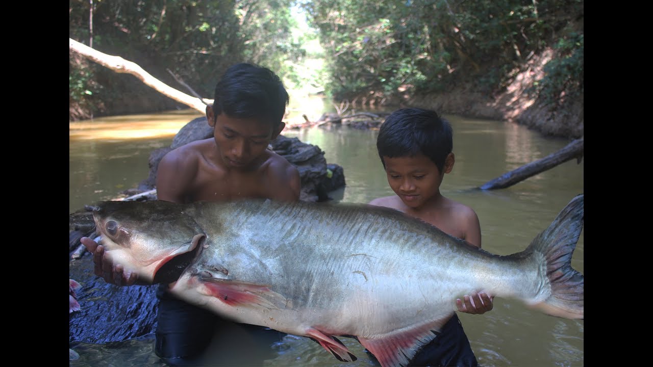 #Bigfish #Fisheatingfish Two boy found big fish in river and cook on ...