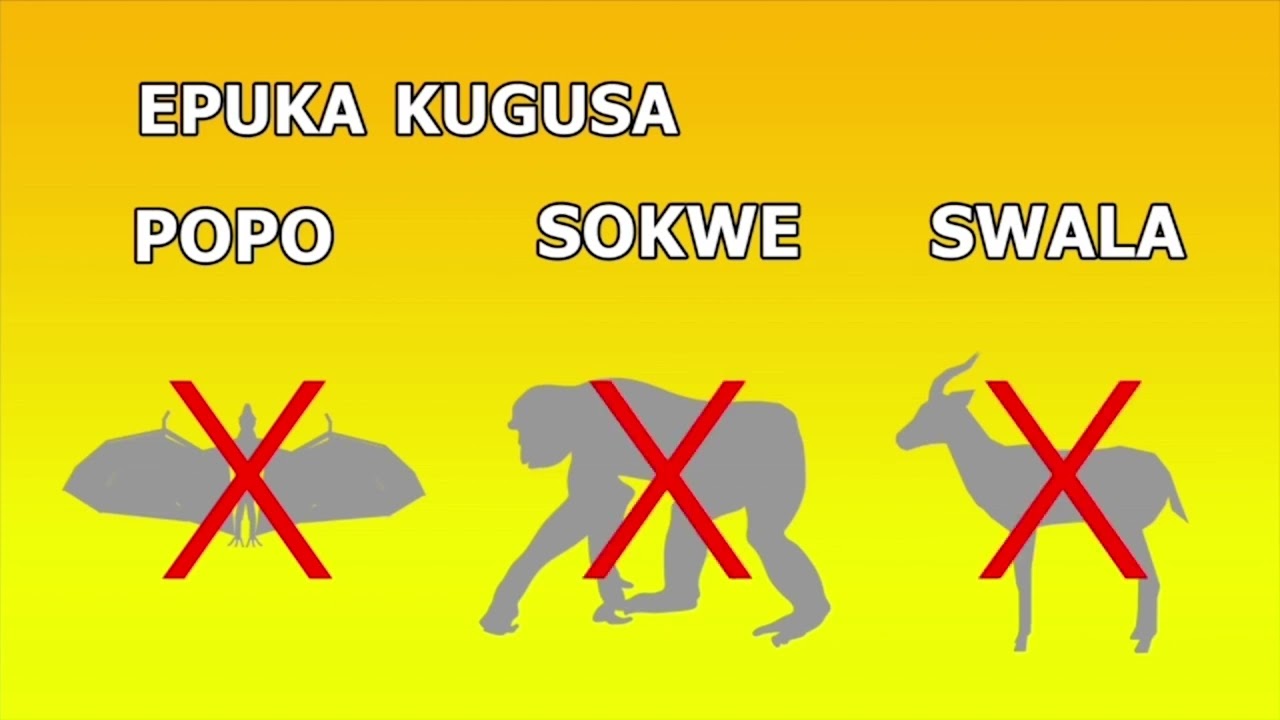 FAHAMU KUHUSU UGONJWA WA EBOLA - YouTube