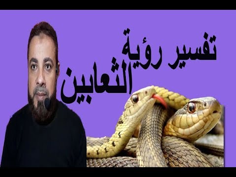 تفسير رؤية الثعابين للمتزوج والمتزوجة والحامل والعزباء في المنام / اسماعيل الجعبيري