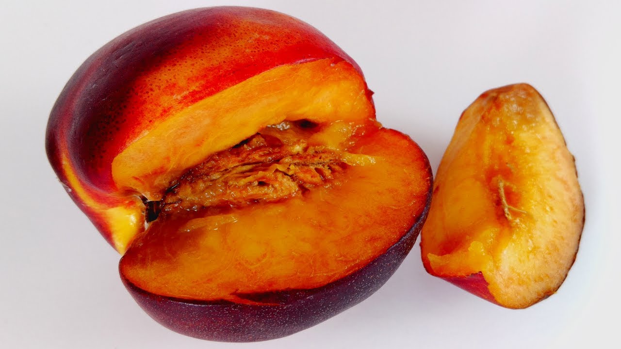 Nectarine Time Lapse - YouTube