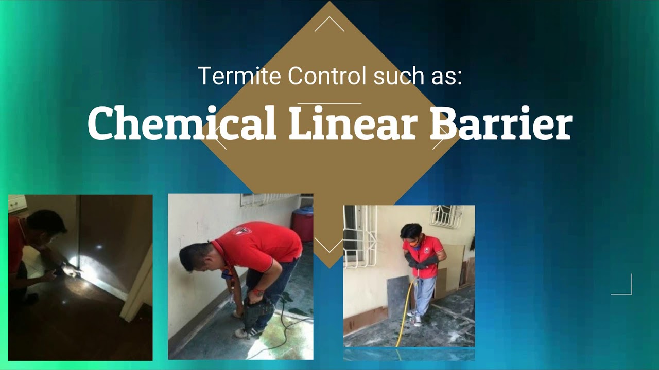 MC Ace avp 1st draft - YouTube