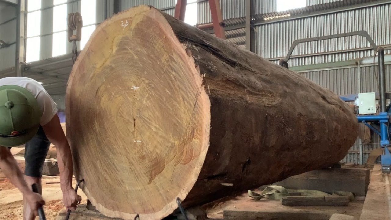 Amazing Factory Wood Sawmill - Wood Breakers To Create Stylish ...