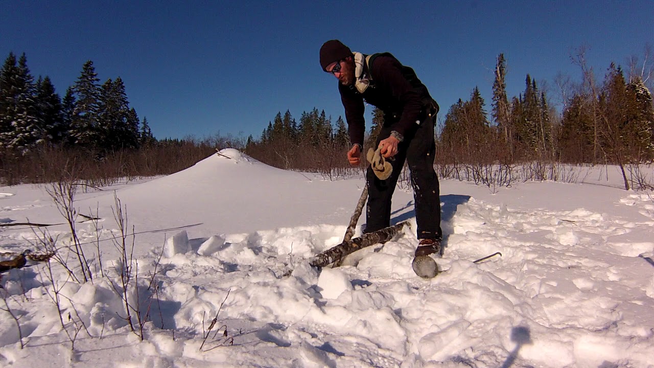 Beaver in a Baited Snare Set Under Ice - YouTube