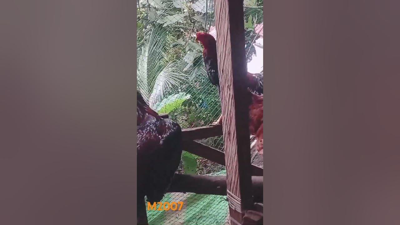 Only 6Kg up - YouTube