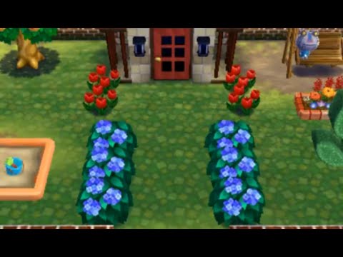 Animal Crossing Happy Home Designer Episode 8 Robo Frog's Pad - YouTube