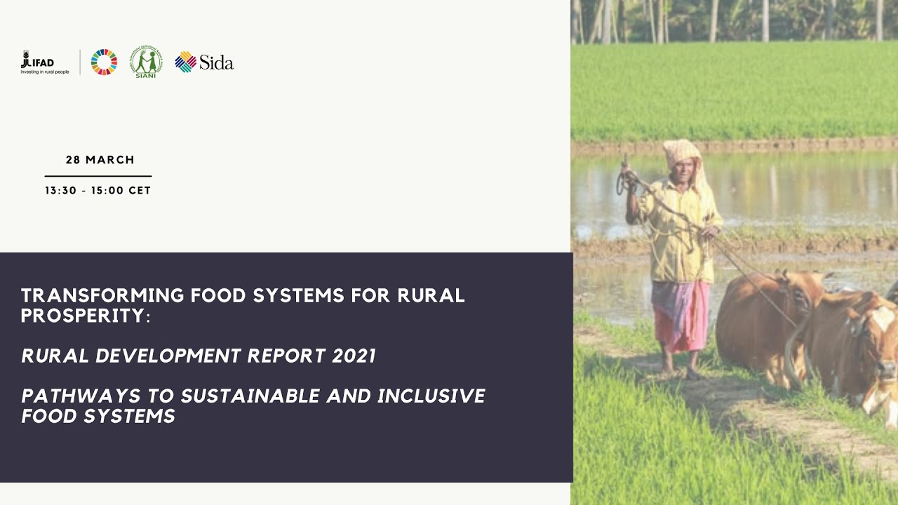 SEMINAR: TRANSFORMING FOOD SYSTEMS FOR RURAL PROSPERITY - YouTube