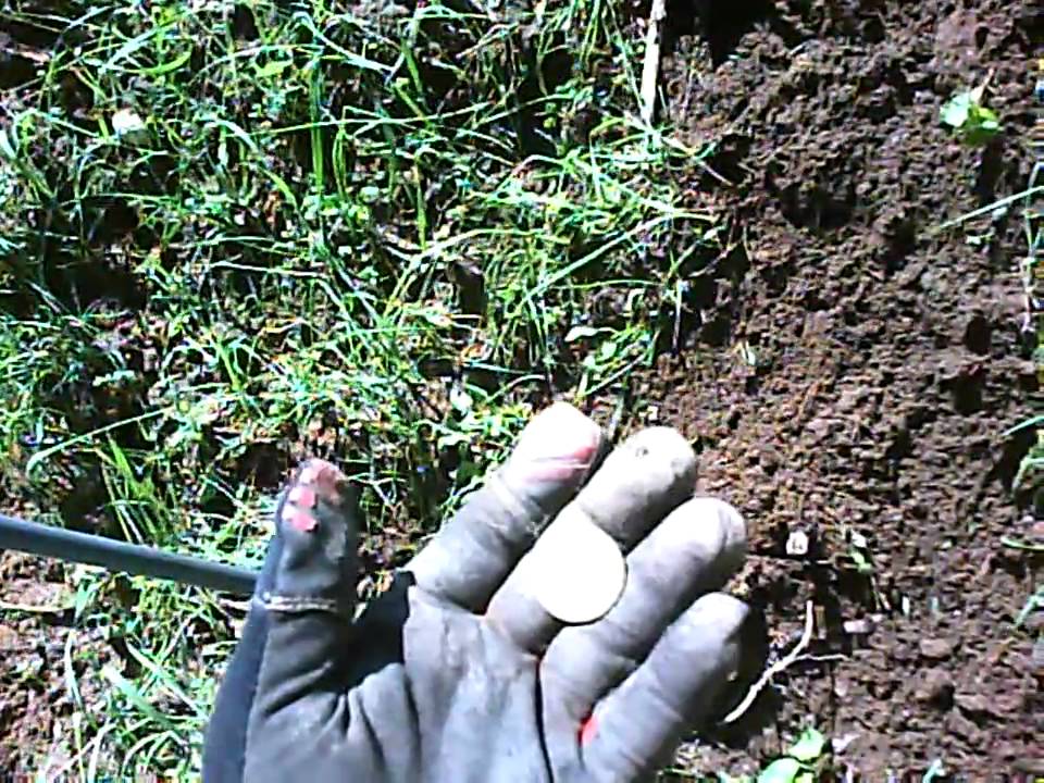 NH Cellar Hole Detecting 3 - The 1770s Colonial House Site - YouTube