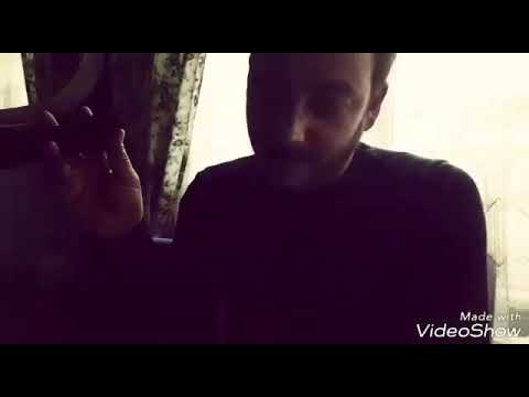 Haluk levet-elfida