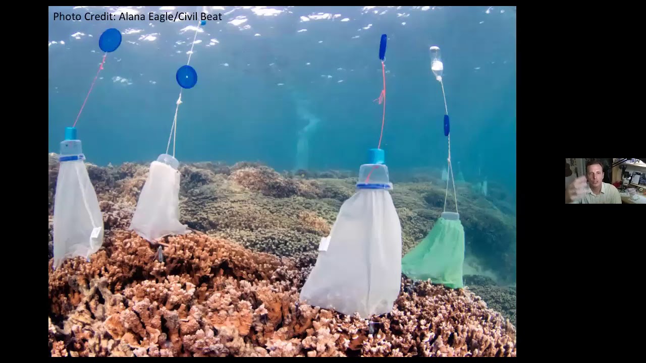 "Selective Propagation of Resilient Corals for Reef Restoration" - YouTube