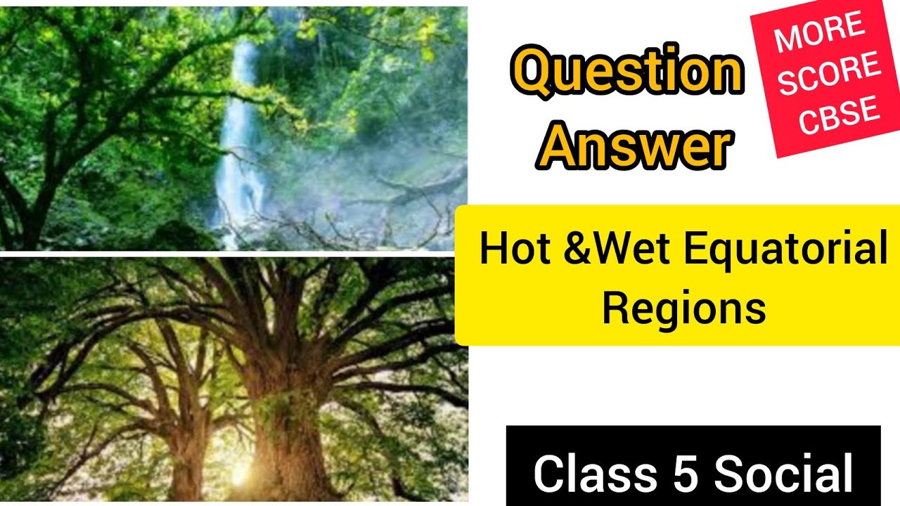 Equatorial Climate Vegetation