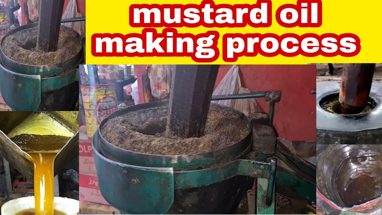 #mustard#oil || traditional mustard oil making process ||kohlu oil ...