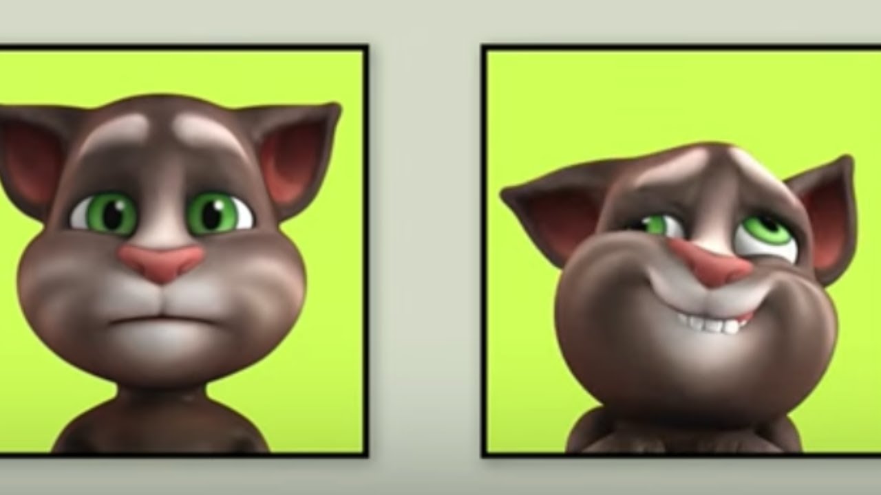 ¡Seriedad! | Cortos de Talking Tom | Dibujos animados para niños ...