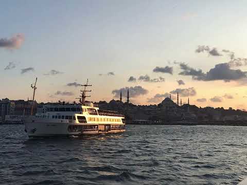 Martı, Vapur ve Dalga sesleri...1 saatlik ders çalışma Müziği