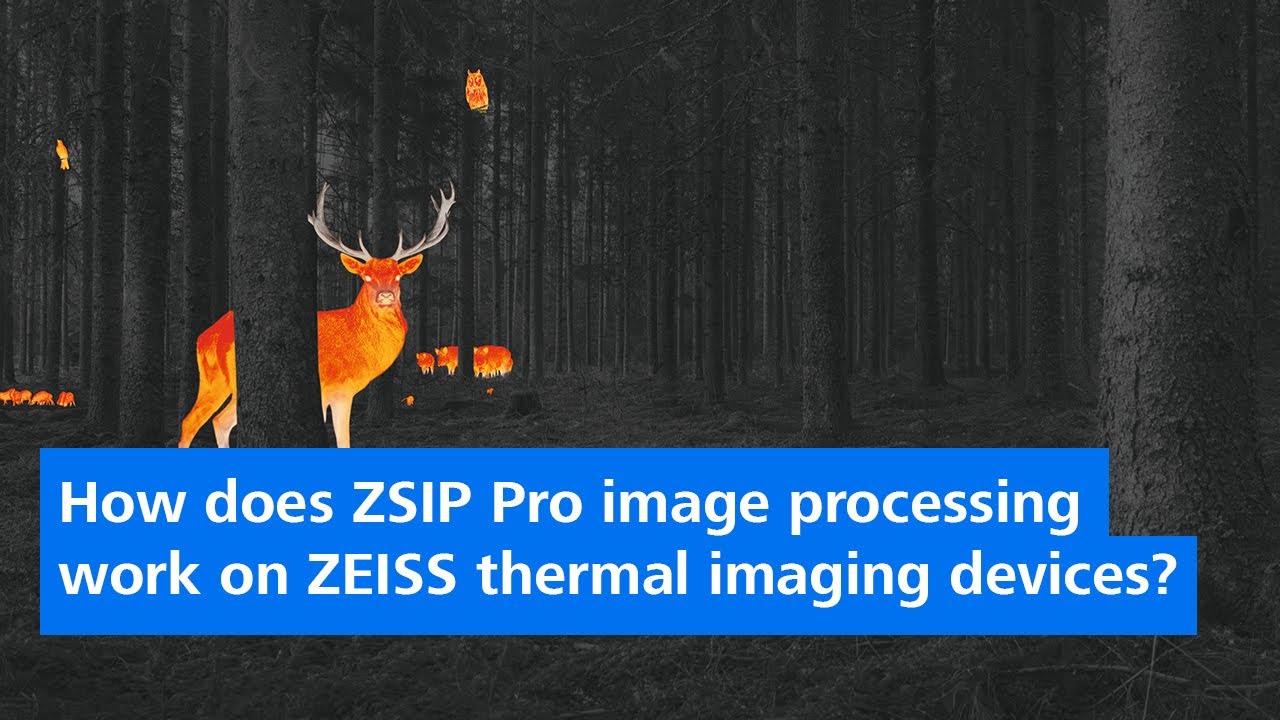 How does ZSIP Pro image processing work on ZEISS thermal imaging ...