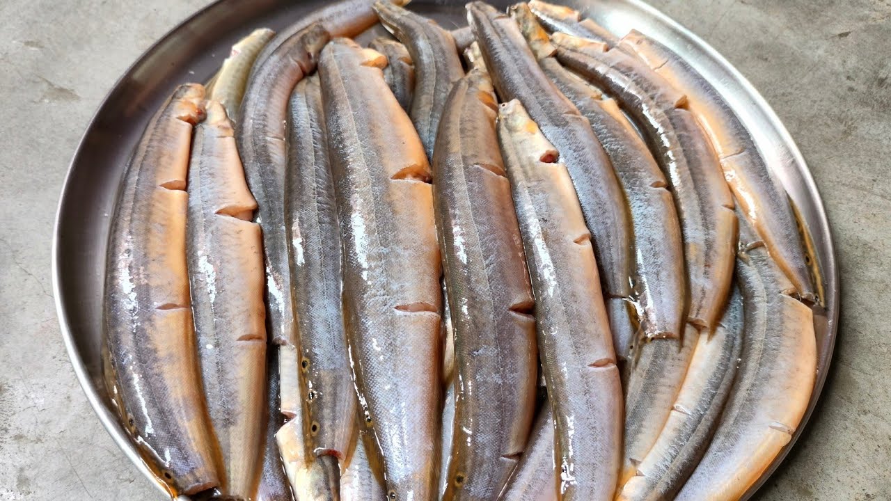 Fish Curry Recipe | गैची मछली बनाने का सही तरीका | Gaichi Fish Curry ...